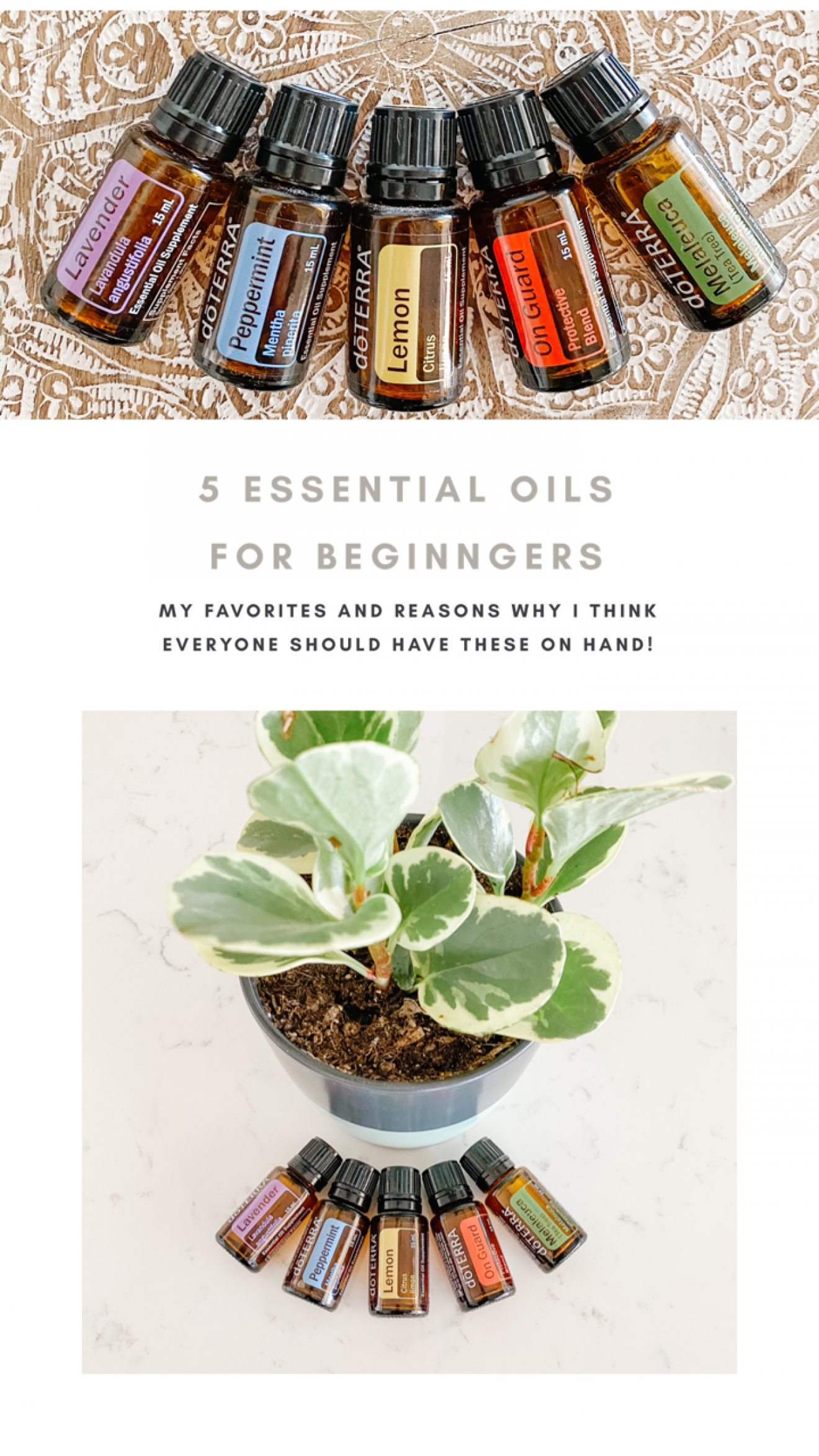 5 Best Essential Oils For Beginners - Sprucing Up Mamahood